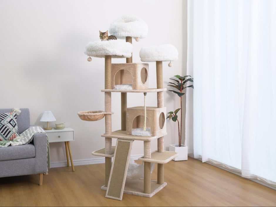 CATRY Eco-Friendly Modern & Stylish Cat Trees for Large Cats – Catry ...