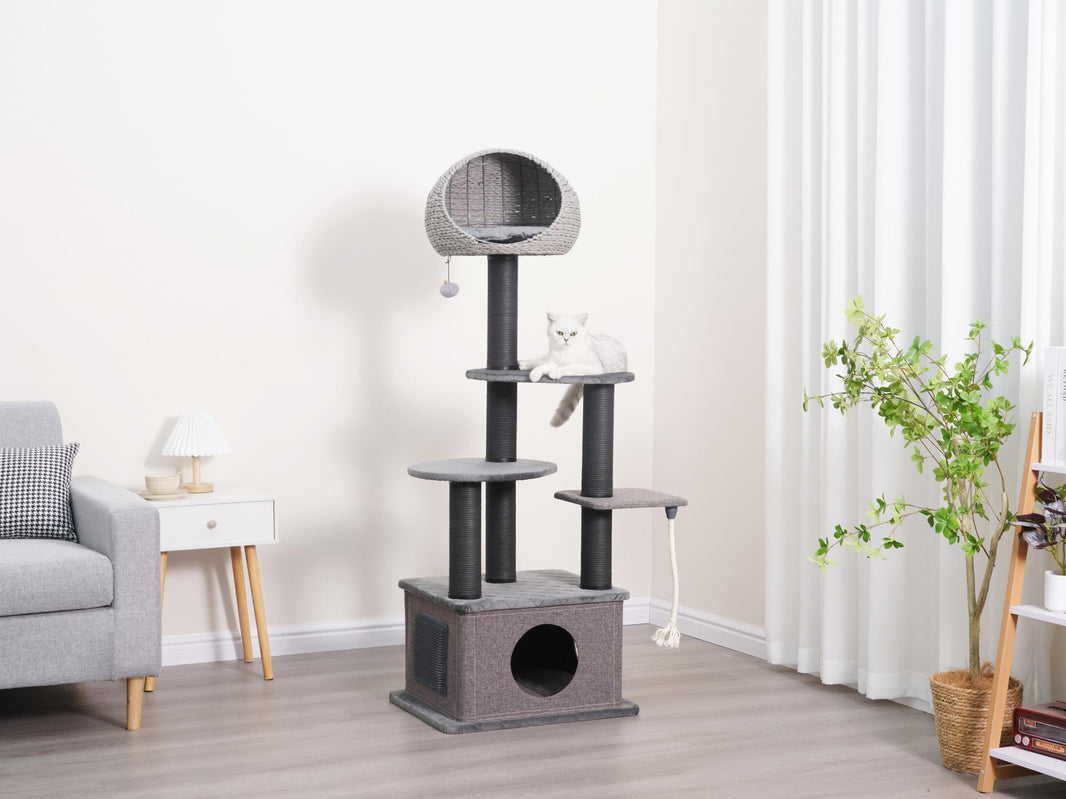 CATRY Eco-Friendly Modern & Stylish Cat Trees for Large Cats – Catry ...