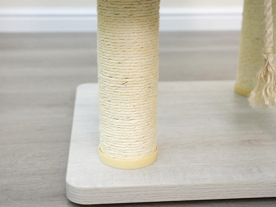 Kasio – Catry International Group, Inc.