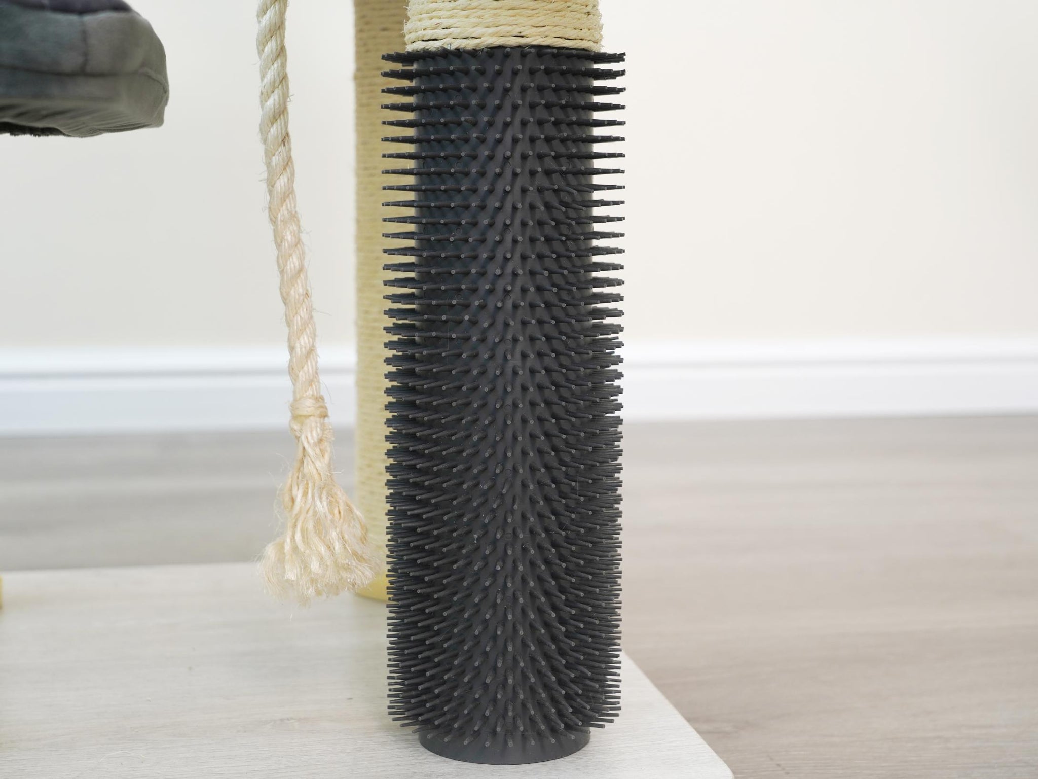 Kasio – Catry International Group, Inc.