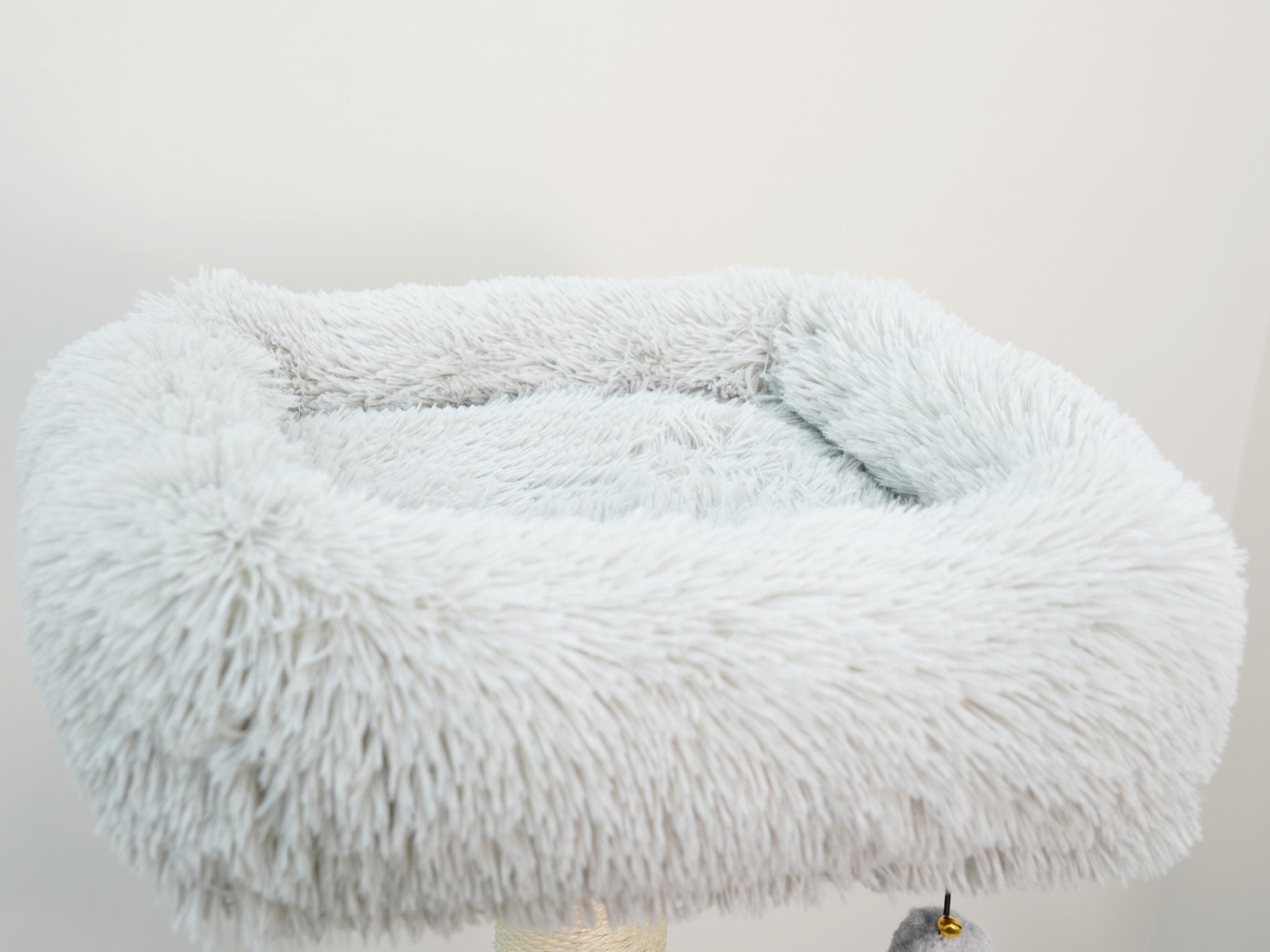 Kasio – Catry International Group, Inc.