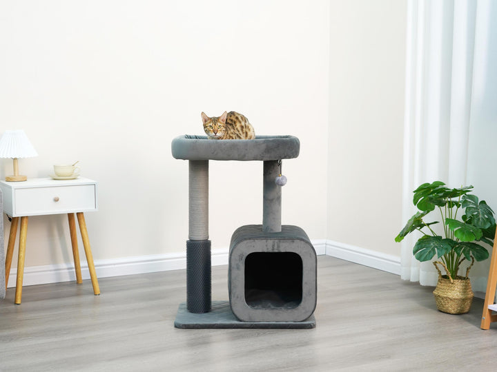 Welcome to Catry International Inc. – Catry International Group, Inc.