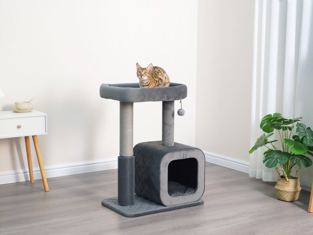 Catry Cat Trees at Costco – Catry International Group, Inc.