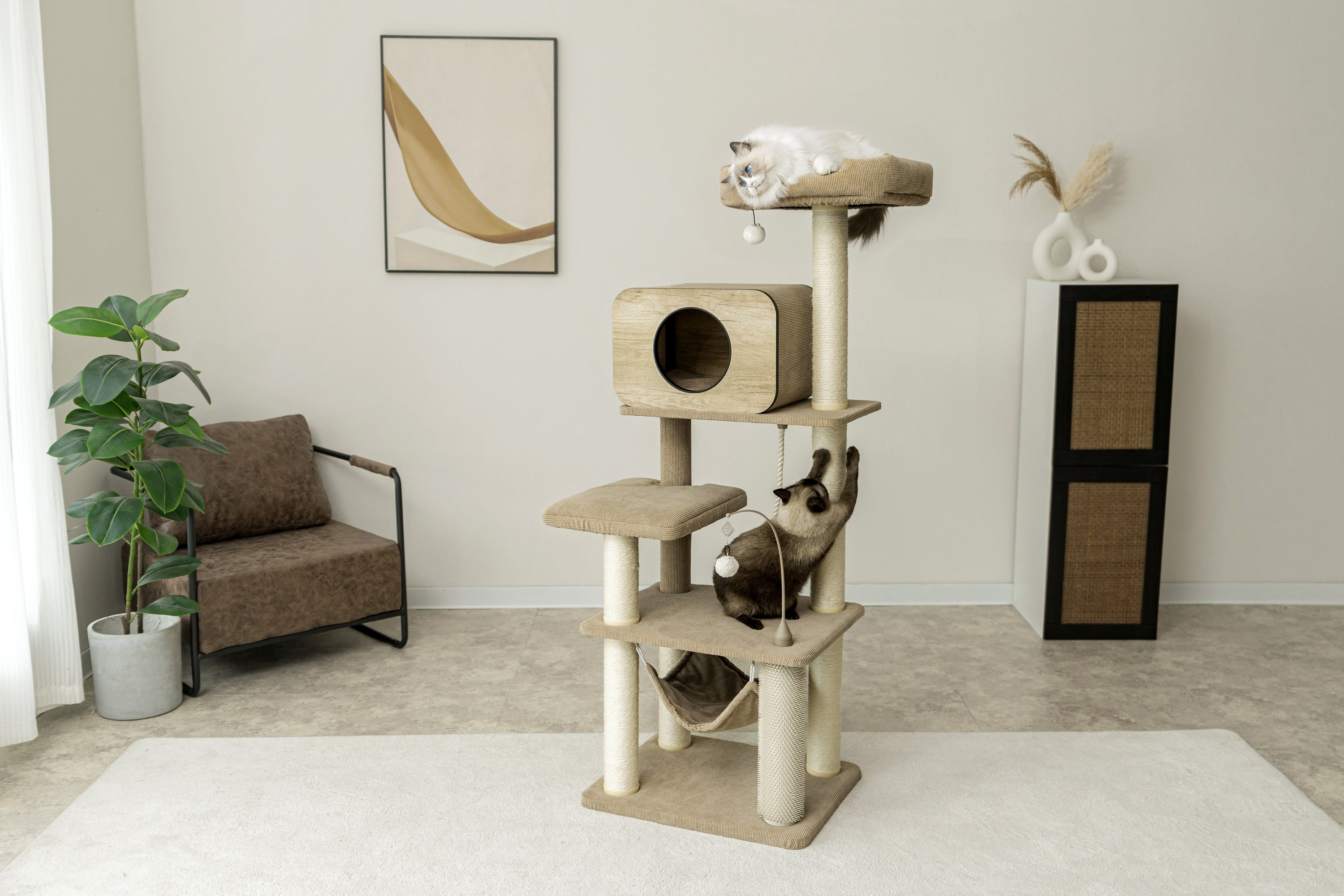 Catry Cat Trees at Costco – Catry International Group, Inc.