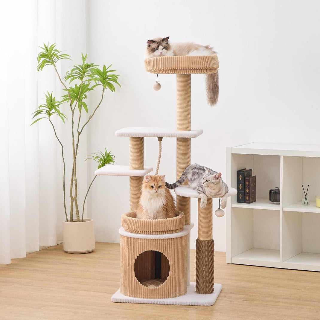Catry Cat Trees at Costco – Catry International Group, Inc.