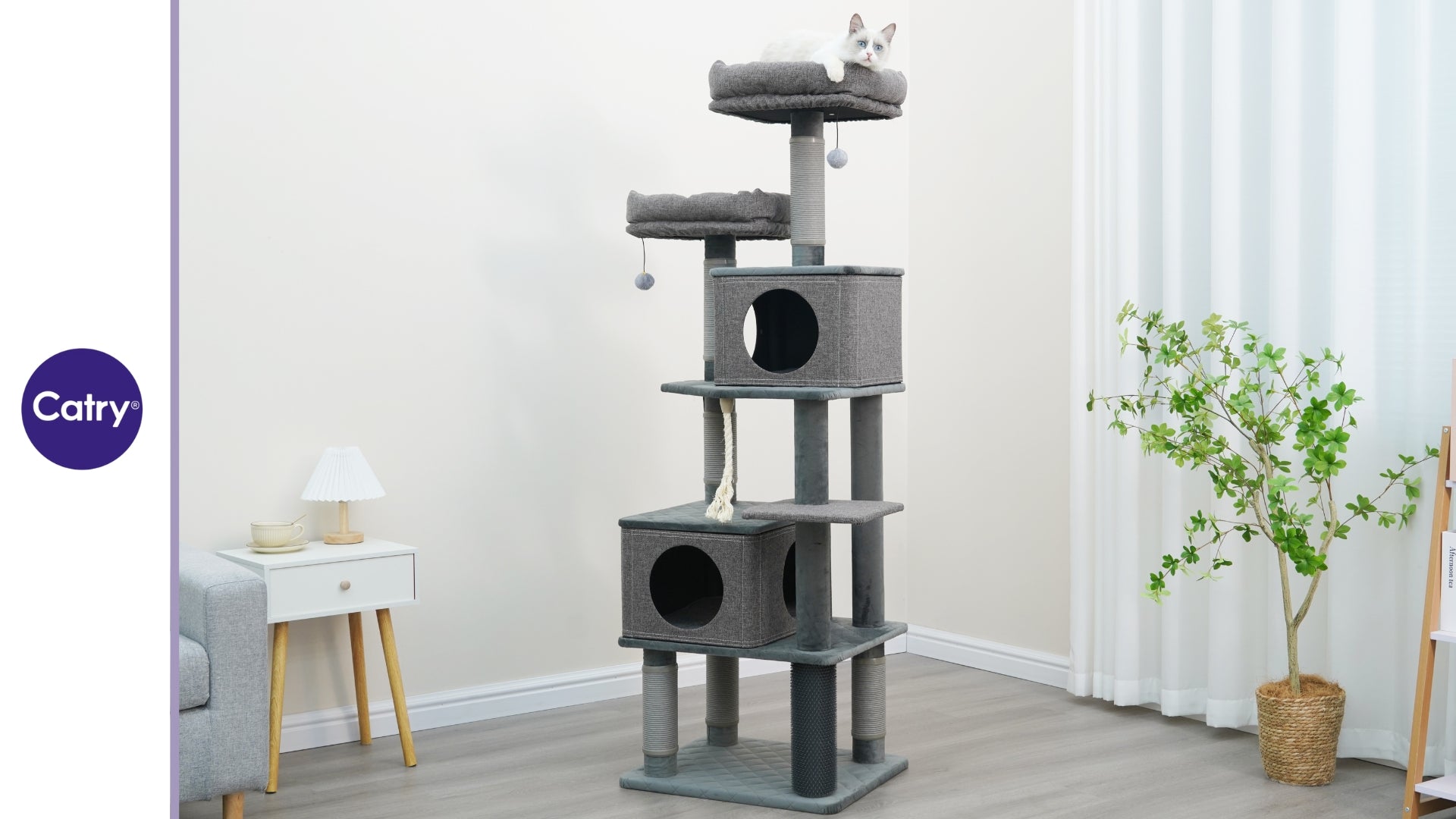 Catry Cat Trees at Costco – Catry International Group, Inc.