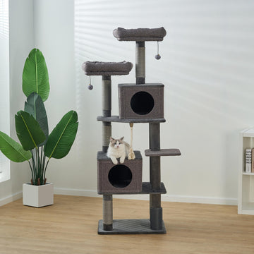 Welcome to Catry International Inc. – Catry International Group, Inc.