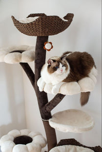 Catry Blossom, 6-Level Cat Tree – Catry International Group, Inc.